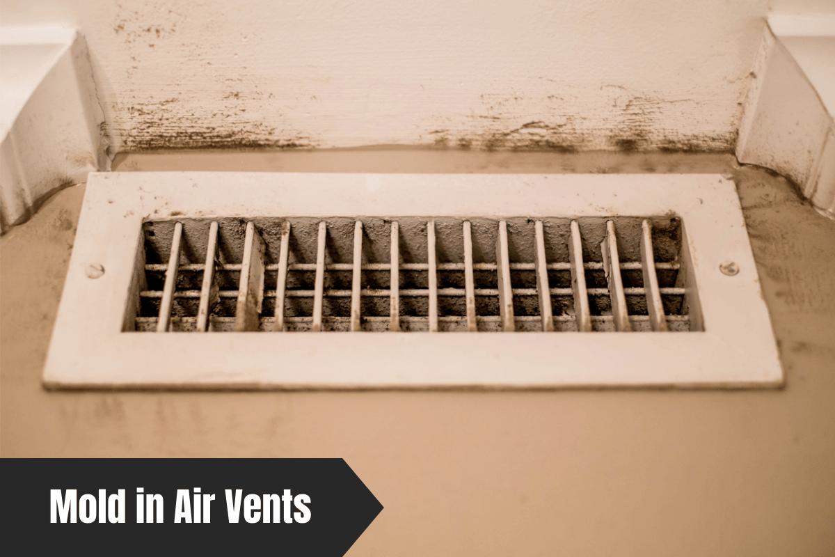 Mold in Air Vents